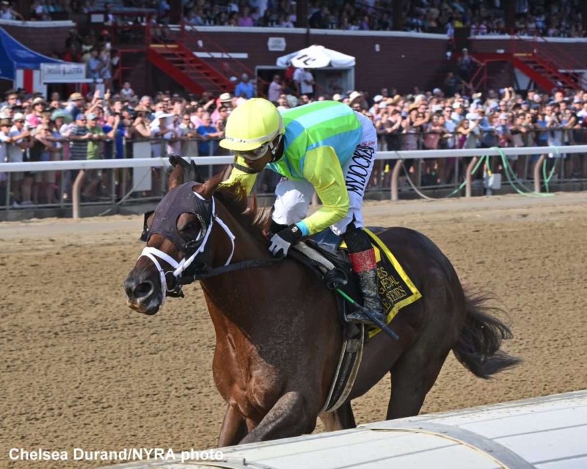 Casse To Point Rhyme Schemes For Hopeful, Pencils In Breeders' Futurity ...