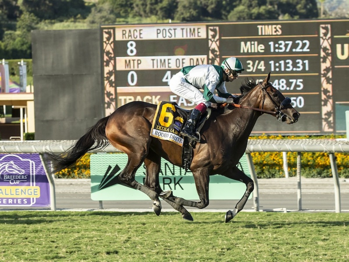 Didia Ships West To Win Rodeo Drive, Claim Spot In BC Filly & Mare Turf ...