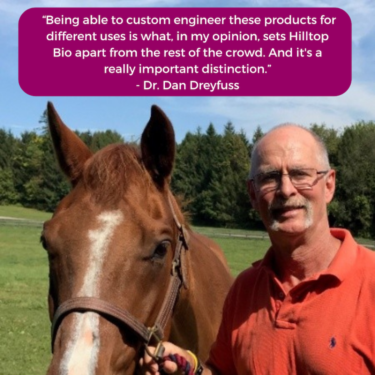 Hilltop Bio Launches Strydaflex For Equine Joint Health - Paulick ...