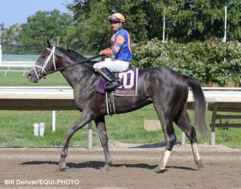 Noted Rolls Late To Take Monmouth's Sapling - Paulick Report | Latest ...