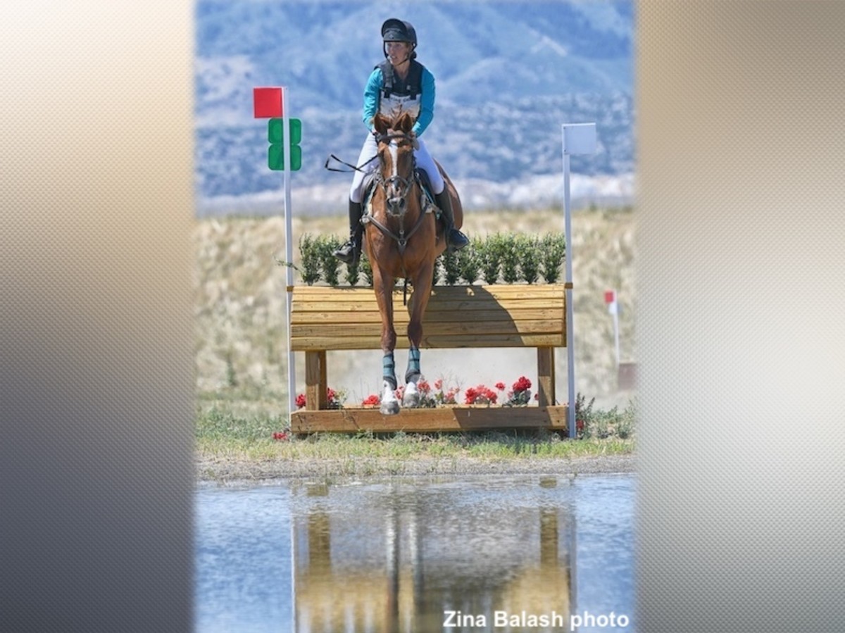 Horowitz On OTTBs Presented by Excel Equine: New Information Will Go ...