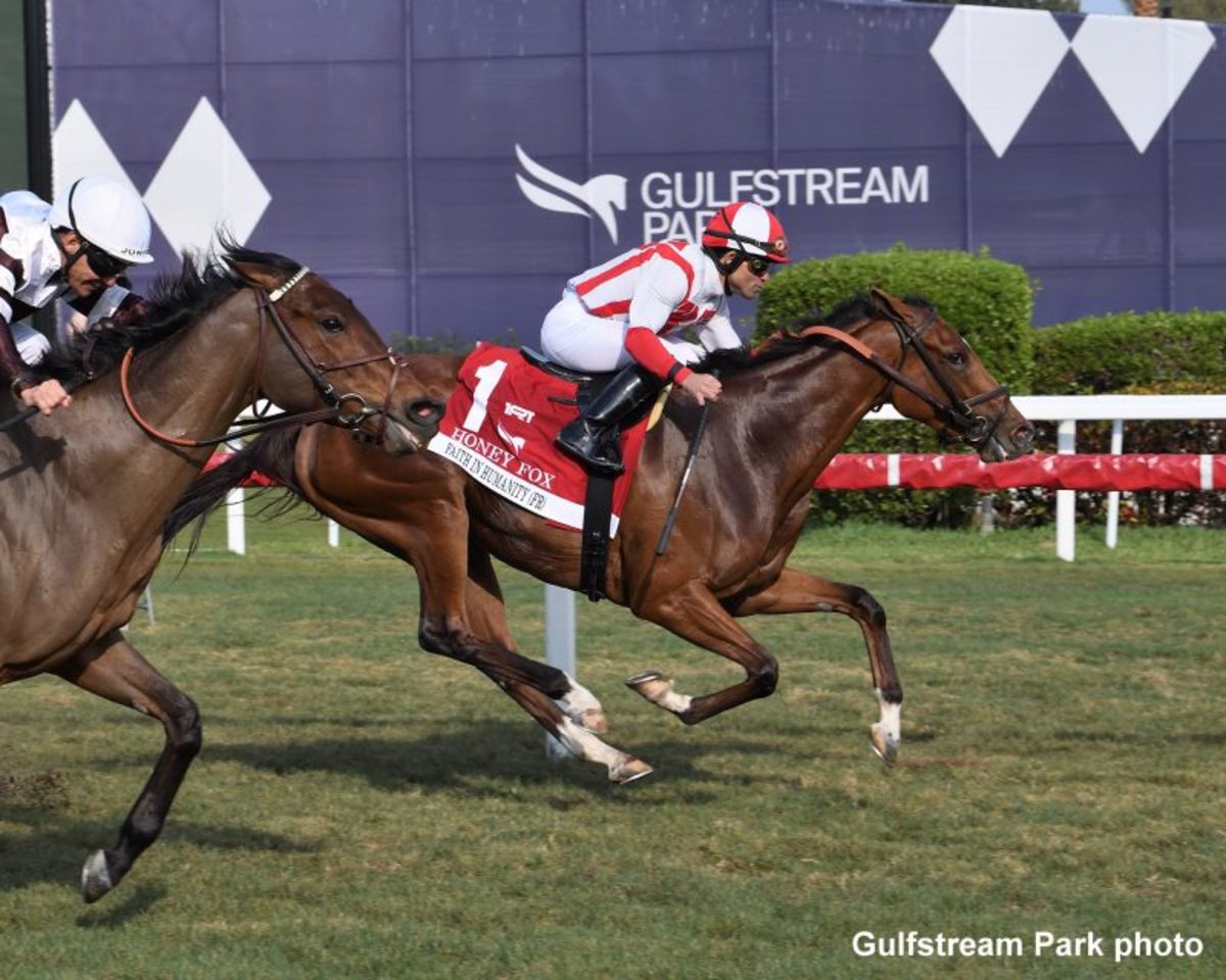 Faith In Humanity Takes Honey Fox On Front End As Brown Notches Second ...