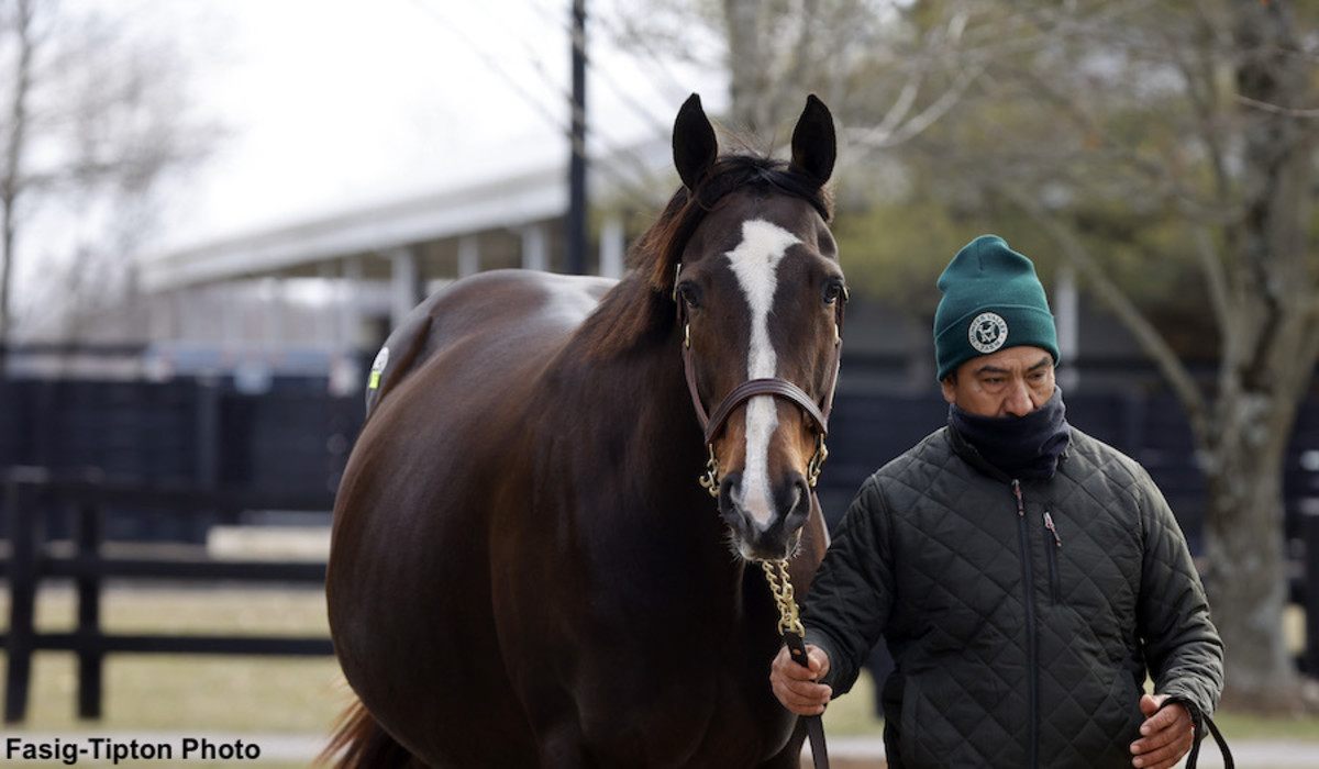Munny Spunt Tops First Session Of Fasig-Tipton Kentucky Winter Mixed ...