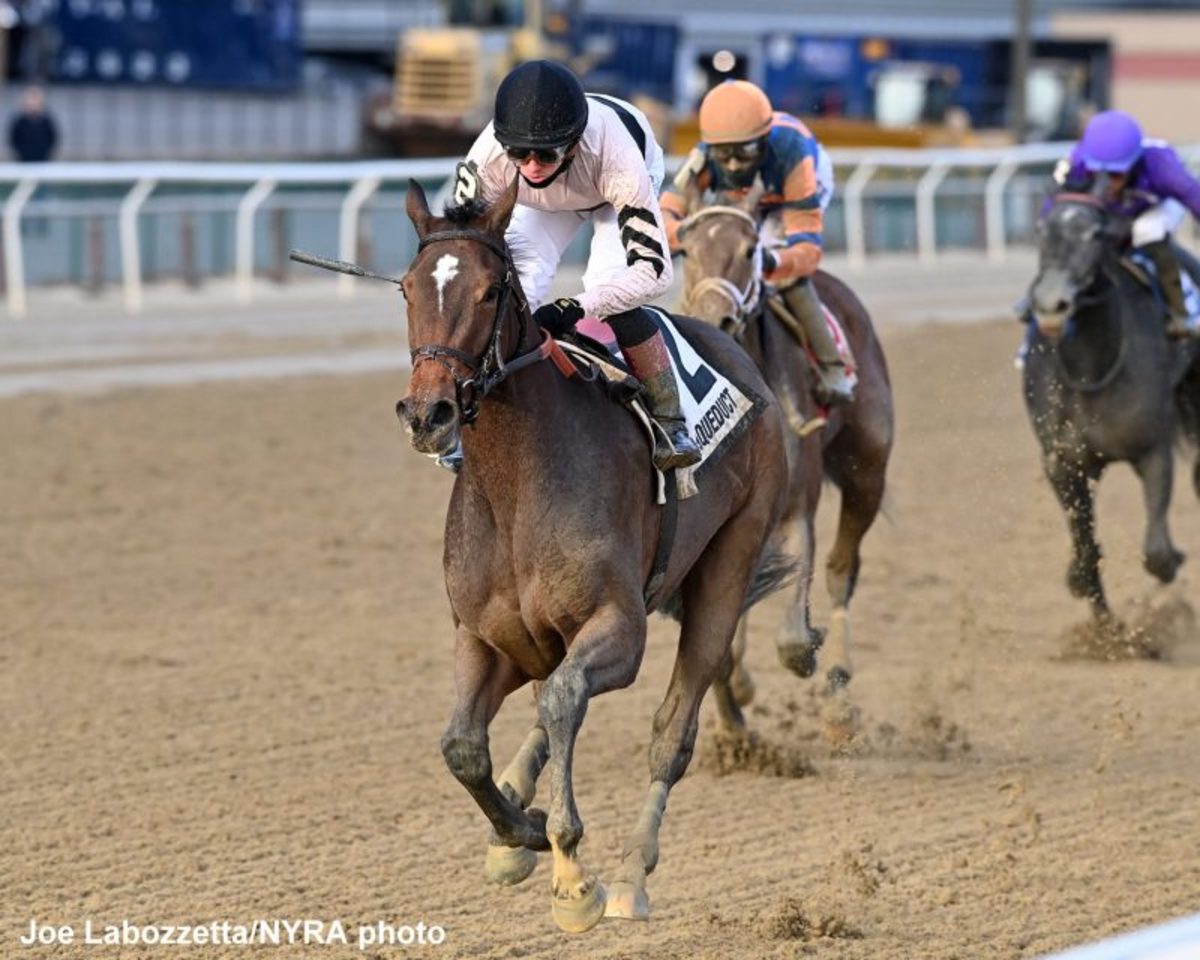 ‘I Think We Want To Keep Her In New York’: Occult Likely On To Stay On ...