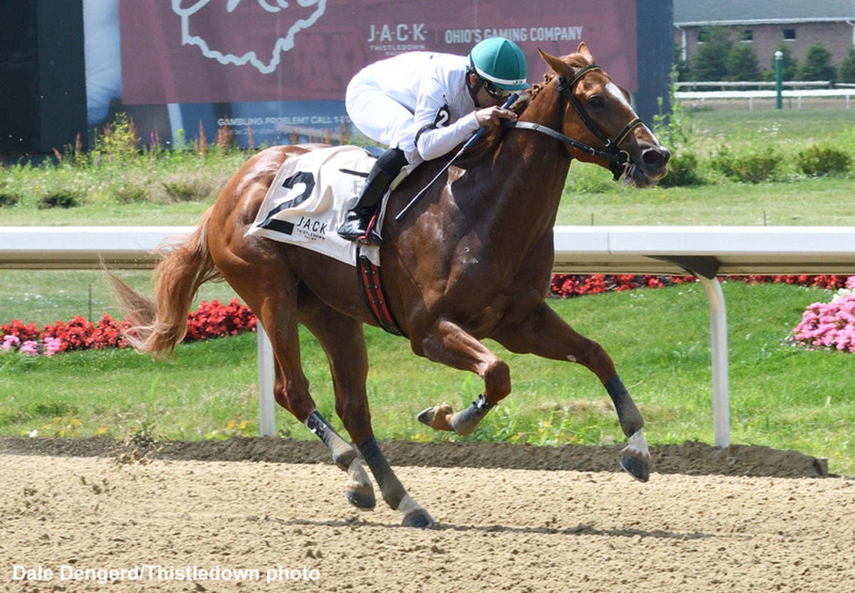 Fair And Square Romps Gate To Wire In Cleveland Gold Cup - Paulick ...