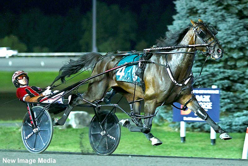 Bulldog Hanover Steals The Show At 2022 O'Brien Awards - Paulick Report ...