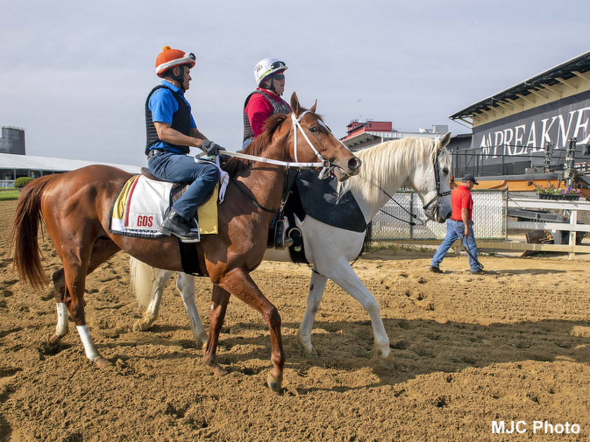 Mage Faces Seven New Shooters From Post Three In 2023 Preakness Stakes ...