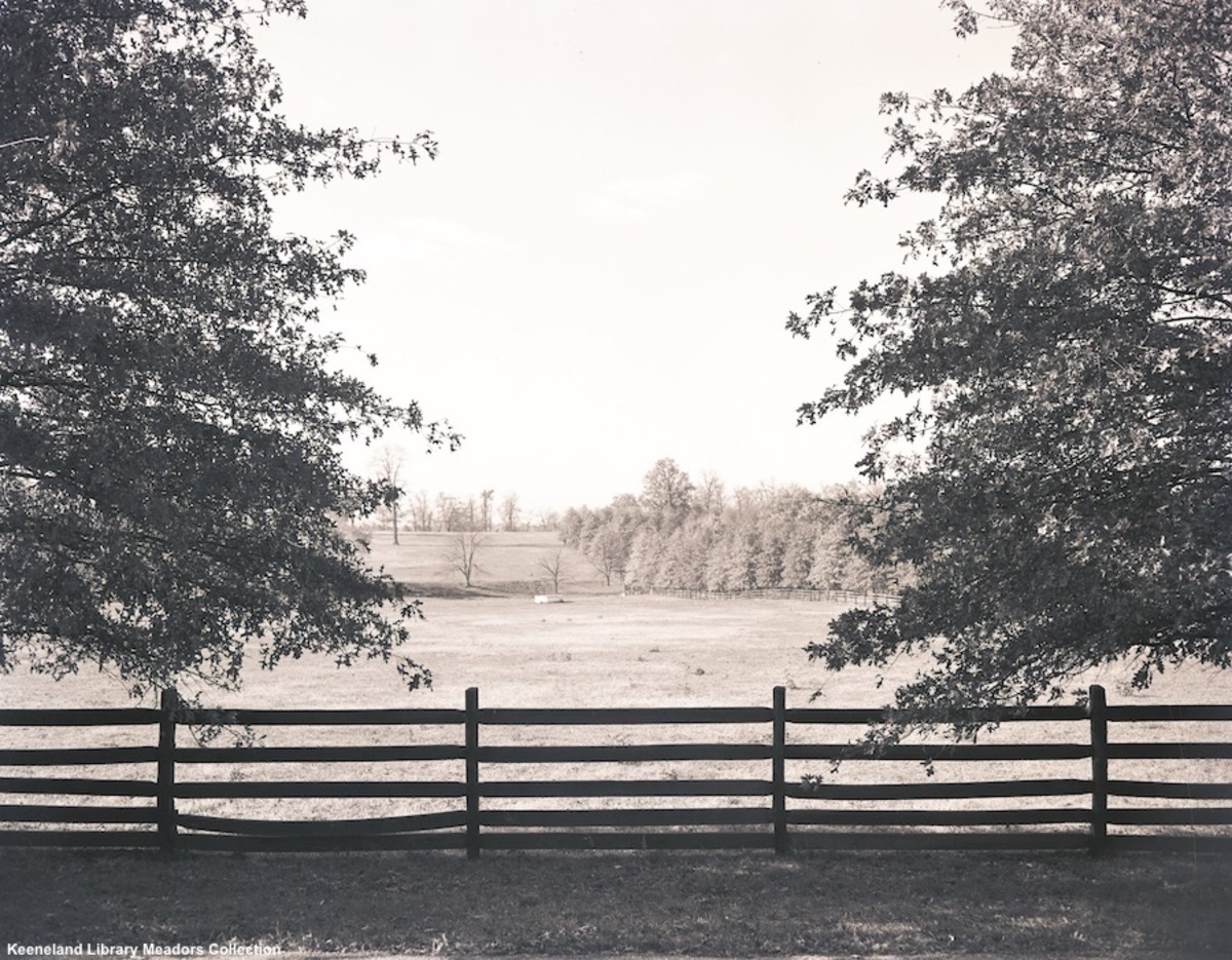 Kentucky Farm Time Capsule: Looking Back At Normandy Farm - Paulick ...