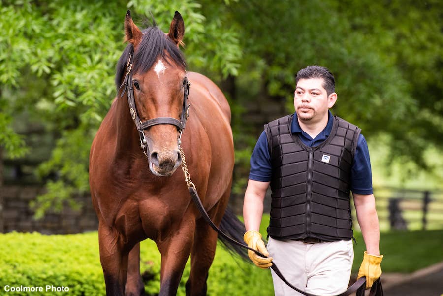 Pinhook Power Rankings: A September Shakeup, But Tapit Still On Top ...