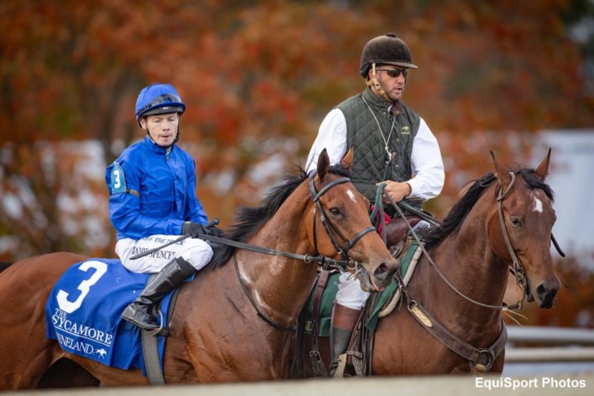 Downs After Dark: Charlie Appleby-Trained Bold Act Tabbed 3-1 Favorite ...