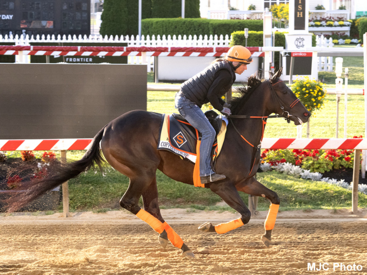 Preakness Notes: First Mission Could Show Speed, Coffeewithchris ‘Will ...