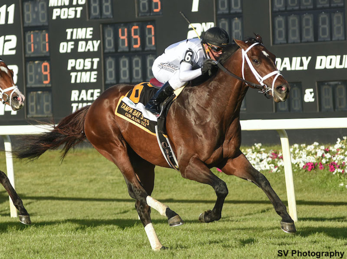 Emmanuel Powers To Turf Course Record In Tampa Bay Stakes - Paulick ...
