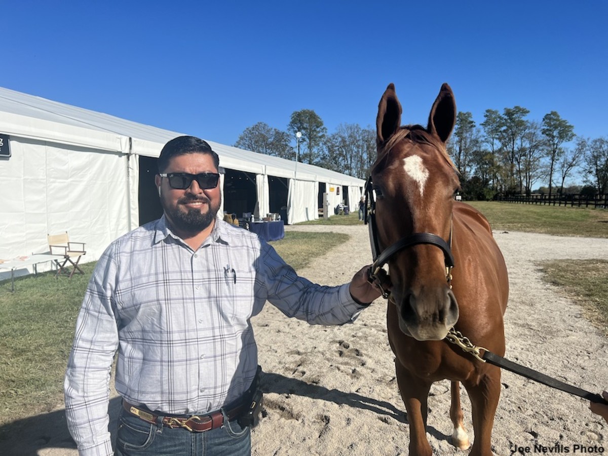 One-Mare Operation Sarinana Racing Returns To Fasig-Tipton Kentucky ...