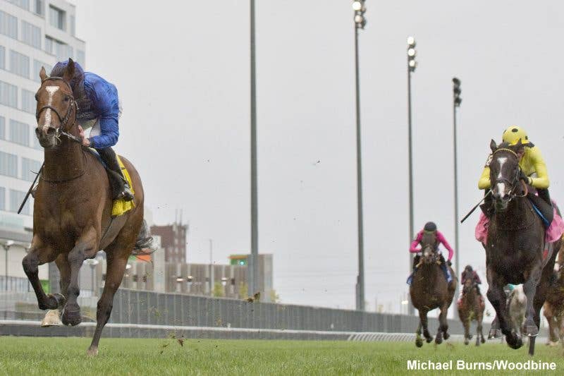 Nations Pride Overhauls Pacesetter Royal Champion Late To Win Canadian ...