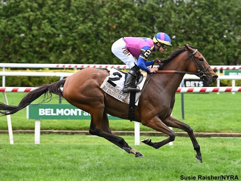 Breeders’ Cup Sunday Notes Roundup; Closer Looks At War Like Goddess ...