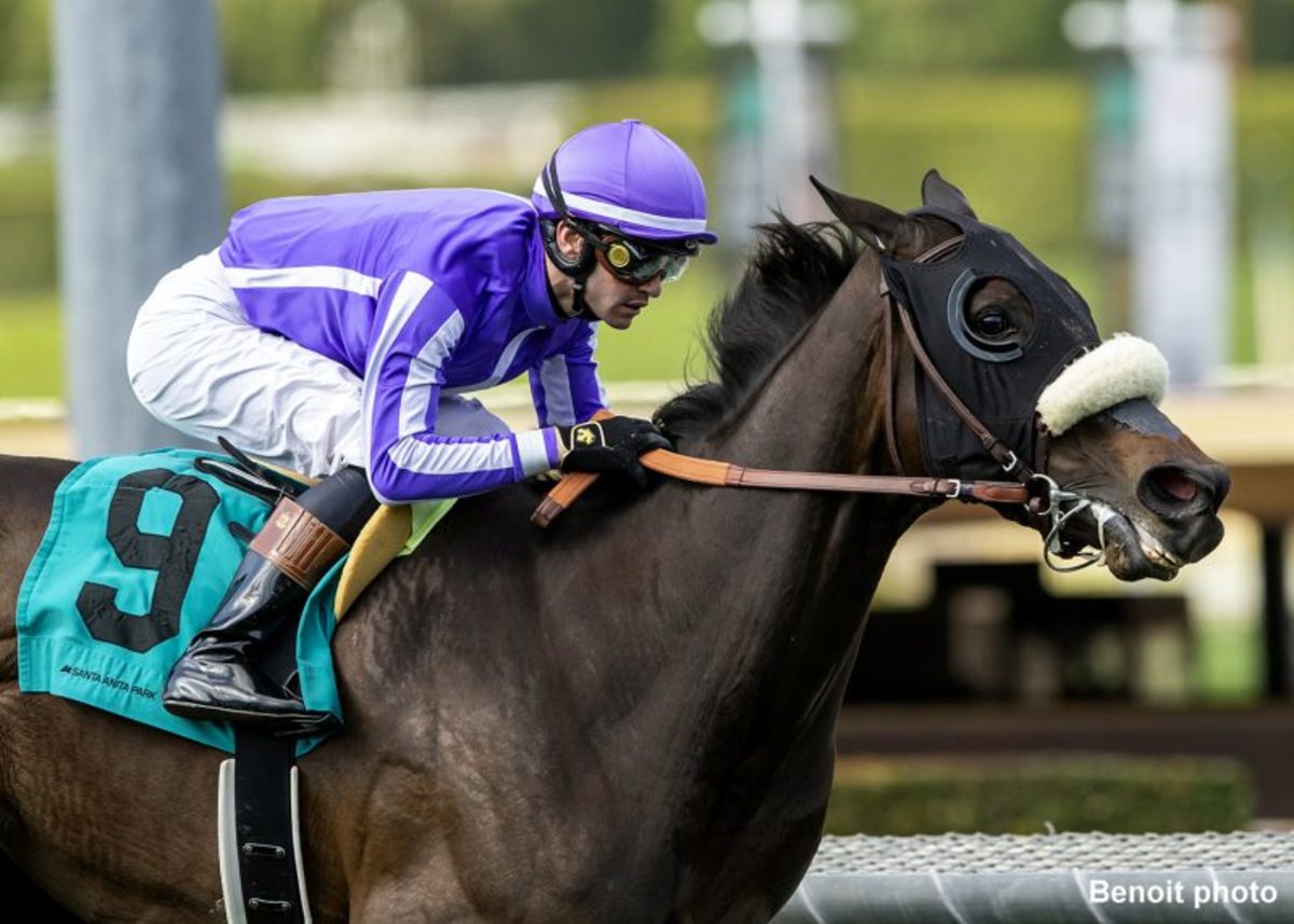 Bloodlines Presented By Mill Ridge Farm: Ballet Dancing's Success Is A ...