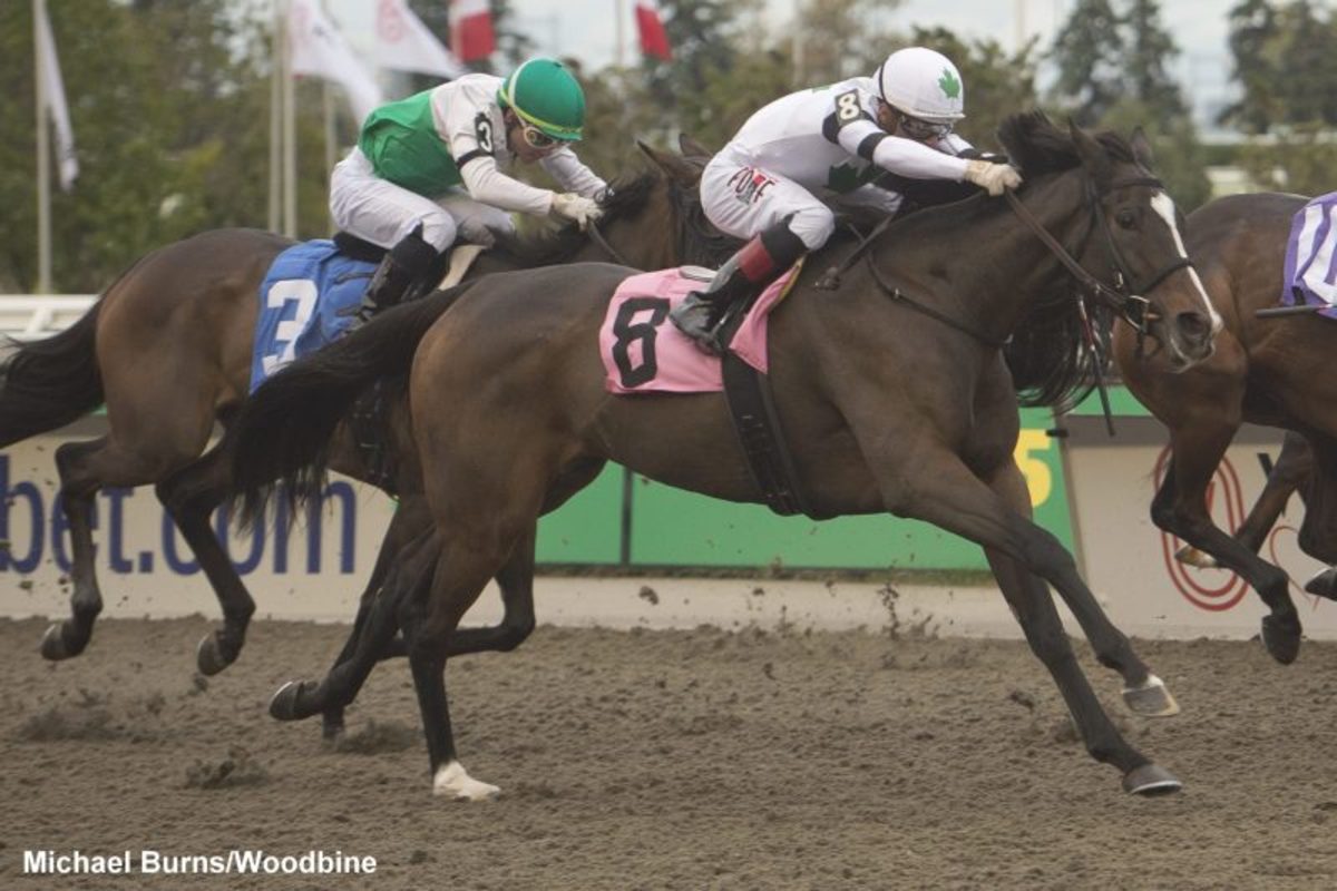 'We've Always Believed In Her': Millie Girl Scores Stakes Breakthrough ...