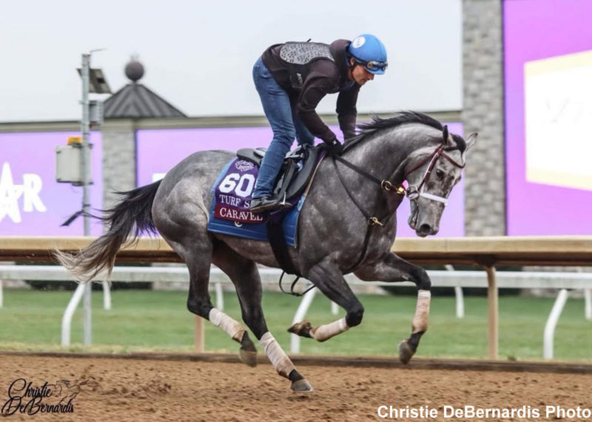 T.C. Stevens, Son Of Hall Of Famer Gary Stevens, To Make 'Dream' Debut ...