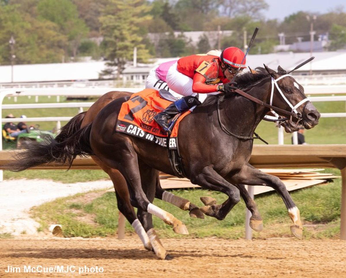 Cats Inthe Timber Notches First Stakes Win In Weber City Miss, Gains ...