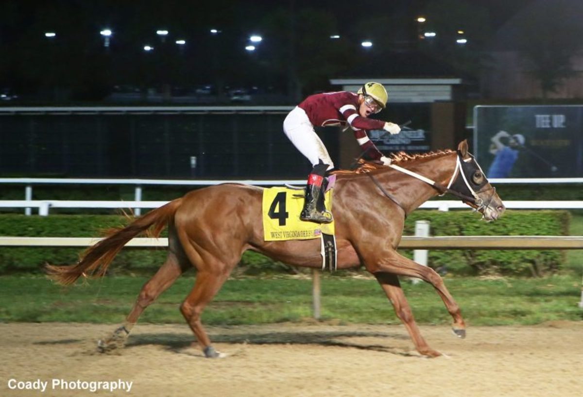 Former Classics Contender Red Route One Makes The Grade In West ...