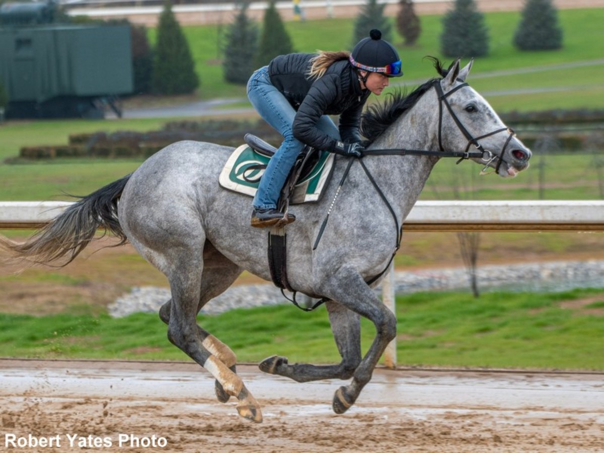 'Everyone Who Is A Jockey Wants To Ride At Oaklawn': Apprentice Hannah ...