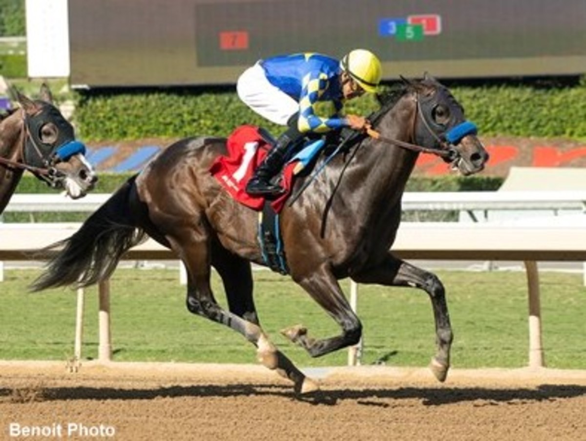 Tim Yakteen: Florida Derby Contender Fort Bragg A ‘Quality Individual ...