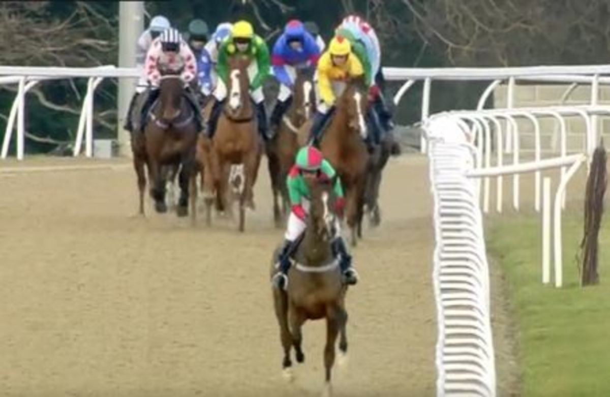 'Turns Out Everyone's Been Racing Wrong All These Years': Horse Builds ...