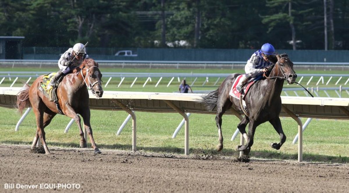Geaux Rocket Ride, Mage Rise In Breeders' Cup Classic Rankings ...