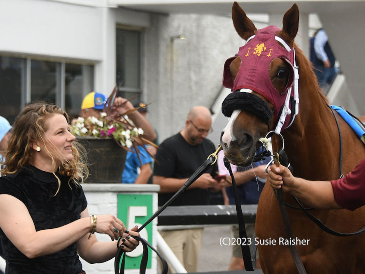 Kirkpatrick & Co. Presents In Their Care: Sibelius A Life-Changing ...