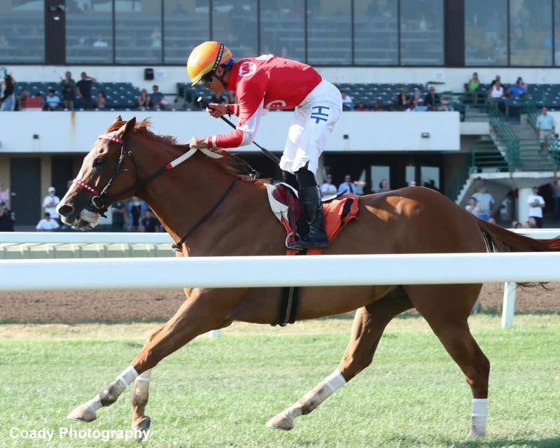 Hot Shot Kid Becomes All-Time Leading Minnesota-Bred Money Earner ...