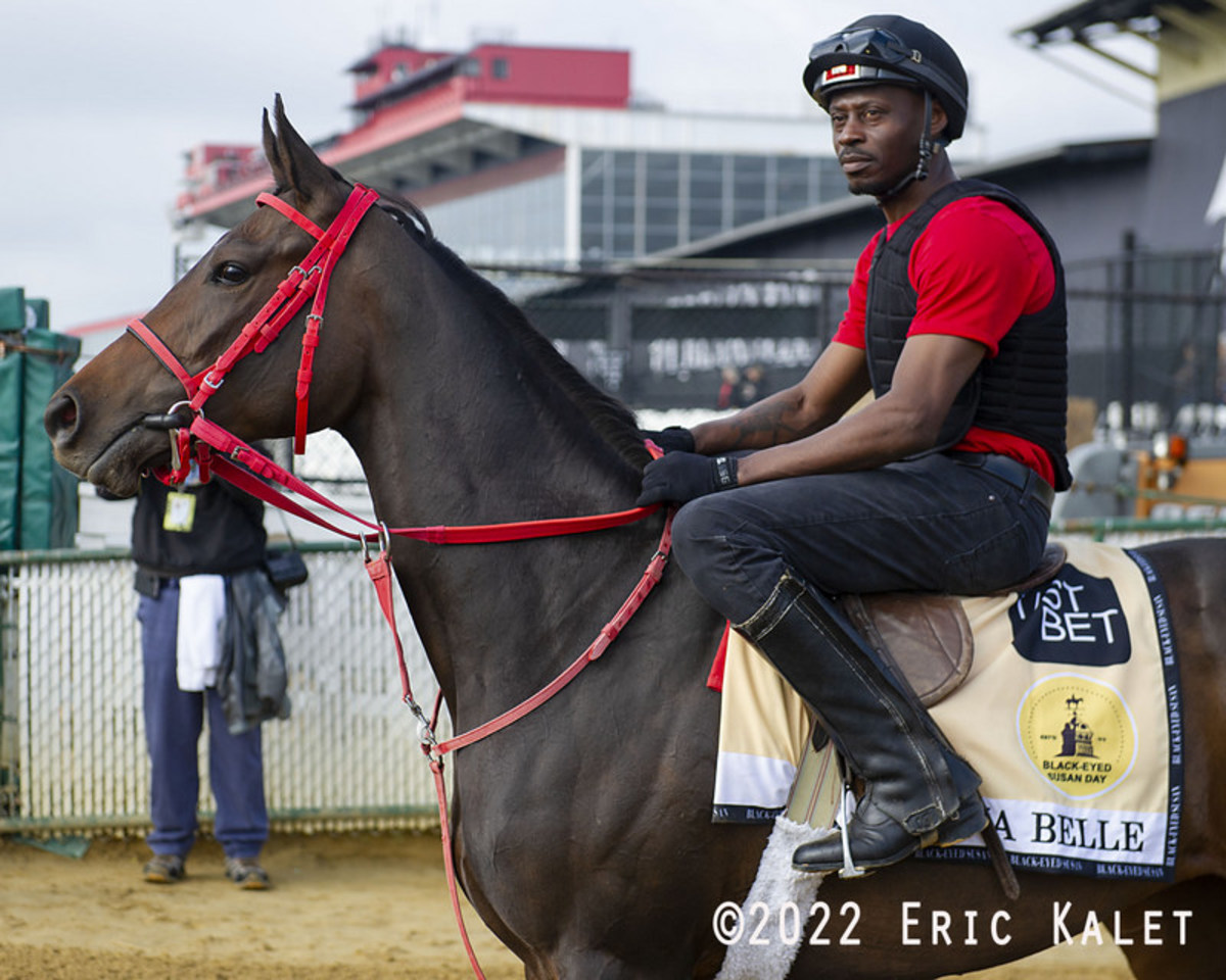 Maryland Champ Luna Belle Retired, Booked To Be Bred To Mage - Paulick ...