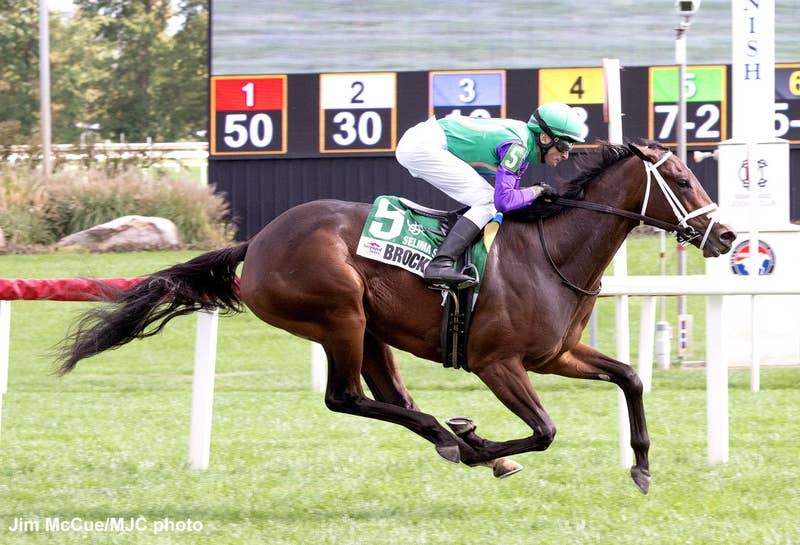 Laurel Juvenile Stakes Winners Brocknardini, Air Recruit Possible For ...