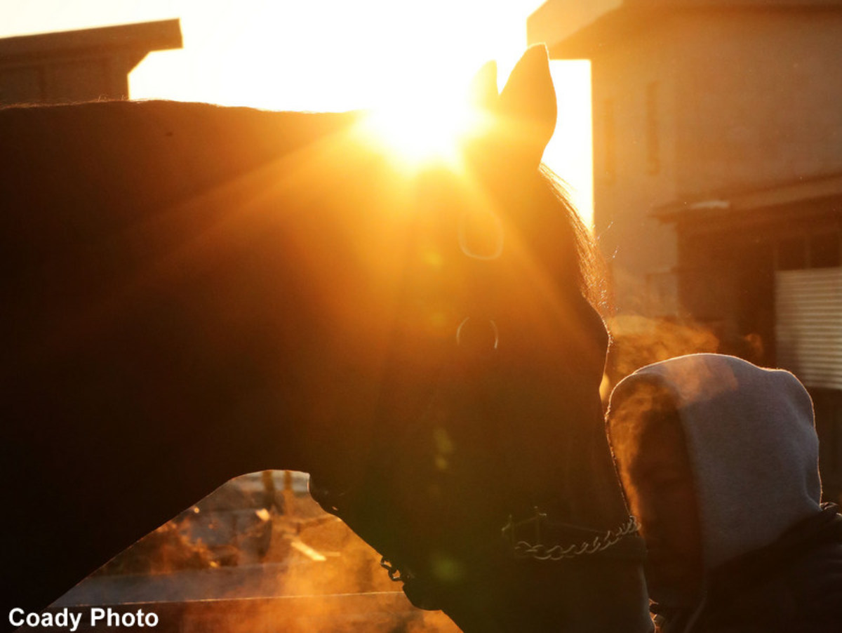 Hope After Service: New Nonprofit Empowering Veterans, Retired ...