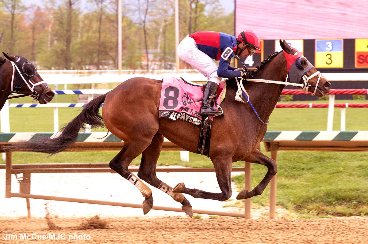 Trainer Phillip Capuano Wins First Stakes With Alwaysinahurry In Laurel ...