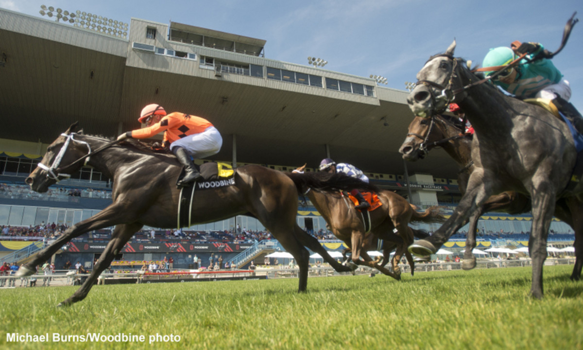 Mohawk Trail Finds Breakthrough Stakes Success In Alywow In Woodbine ...