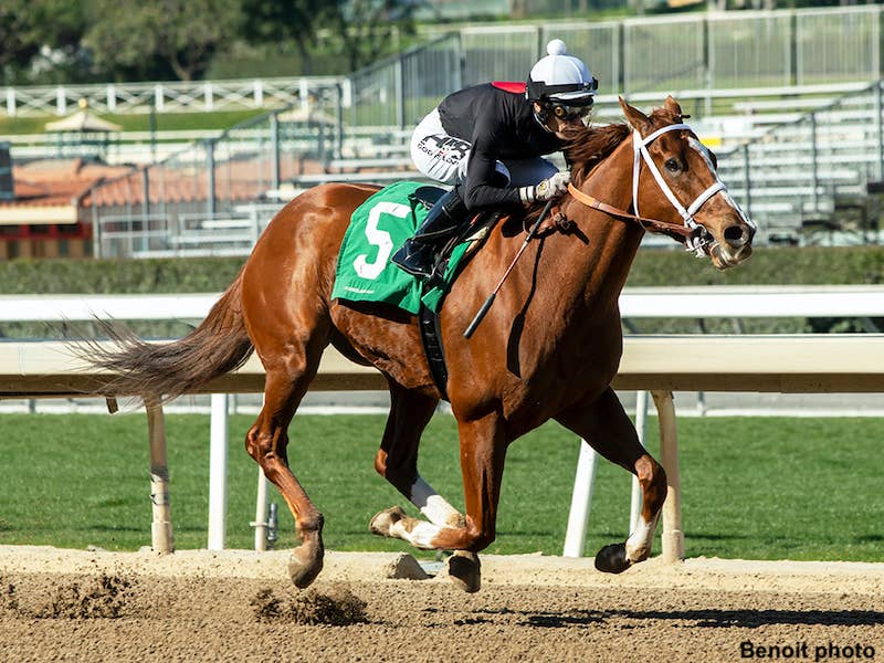 The Chosen Vron Cruises To Victory Over Cal-Bred Rivals In Tiznow ...