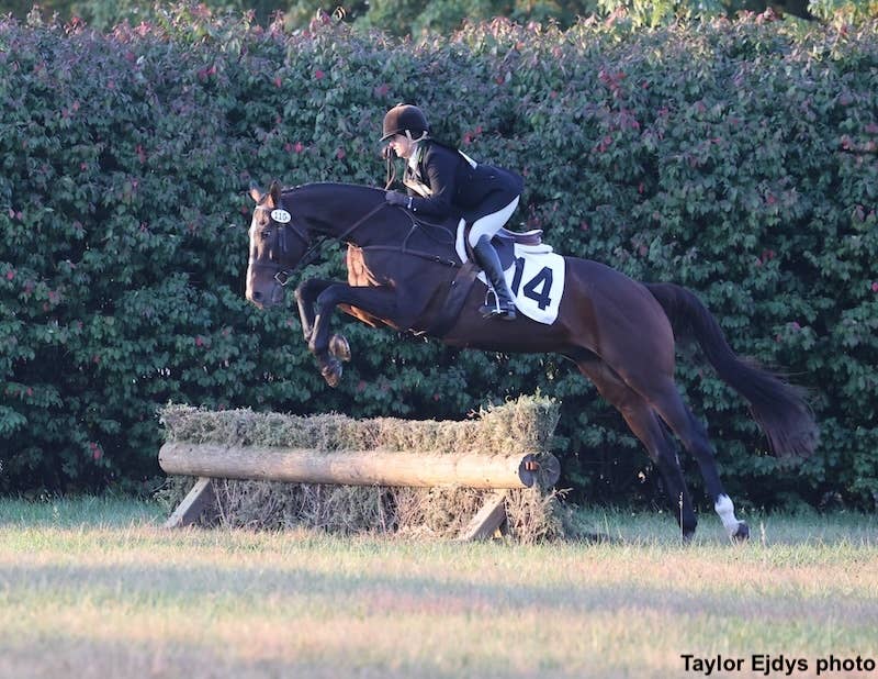 Horowitz On OTTBs Presented by Excel Equine: A Great Month For ...