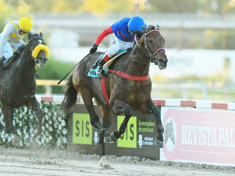 Palermo Showcases Republic Of Argentina Grand Prix On Monday - Paulick ...