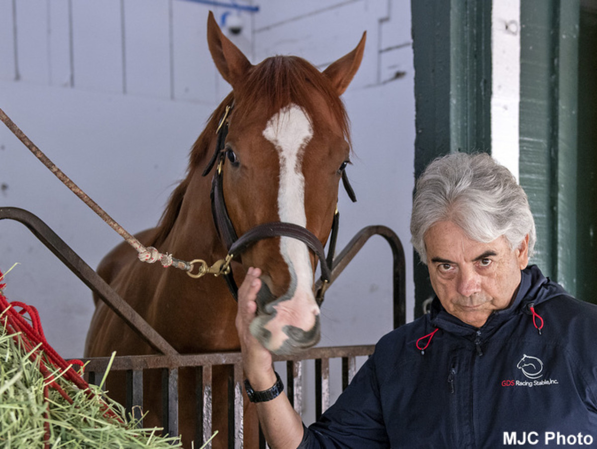 He Picks Up The Rhythm On His Own Mage Responding To Trainer Gustavo Delgados Program 