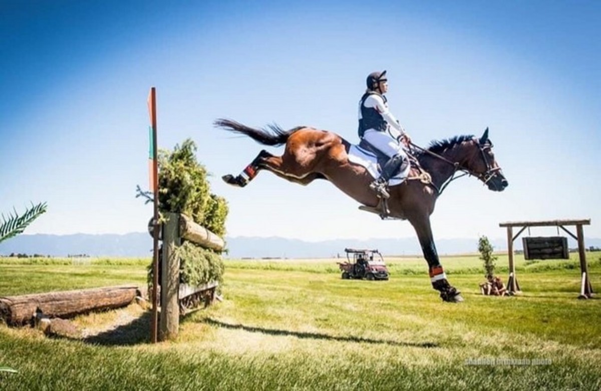 Leap Of Faith: Eventer Chloe Duffy Loves That Thoroughbreds 'Are So ...