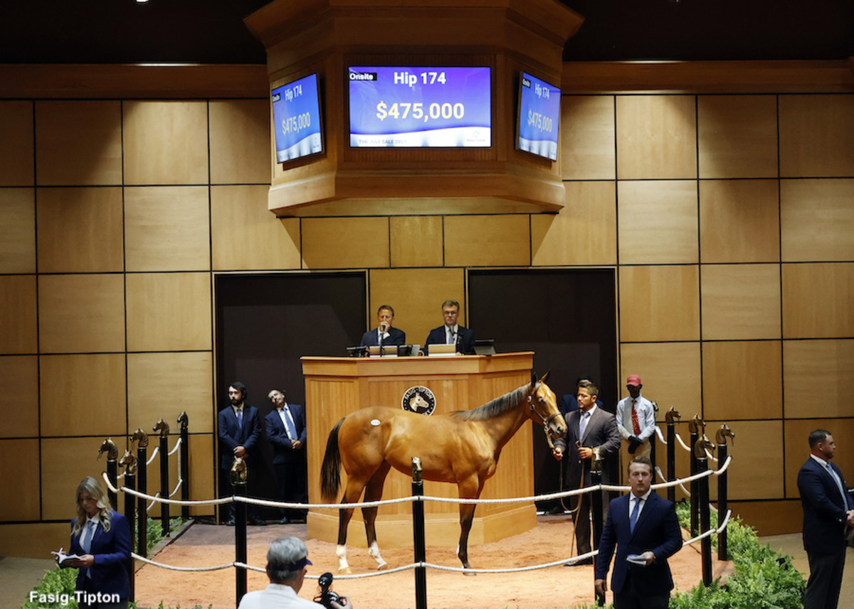 Authentic Filly Leads The Way At Fasig-Tipton July Sale - Paulick ...