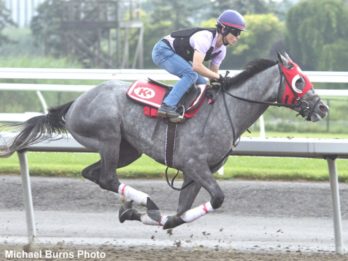 Trainer Kevin Attard Takes Four Shots At Third Straight Woodbine Oaks ...