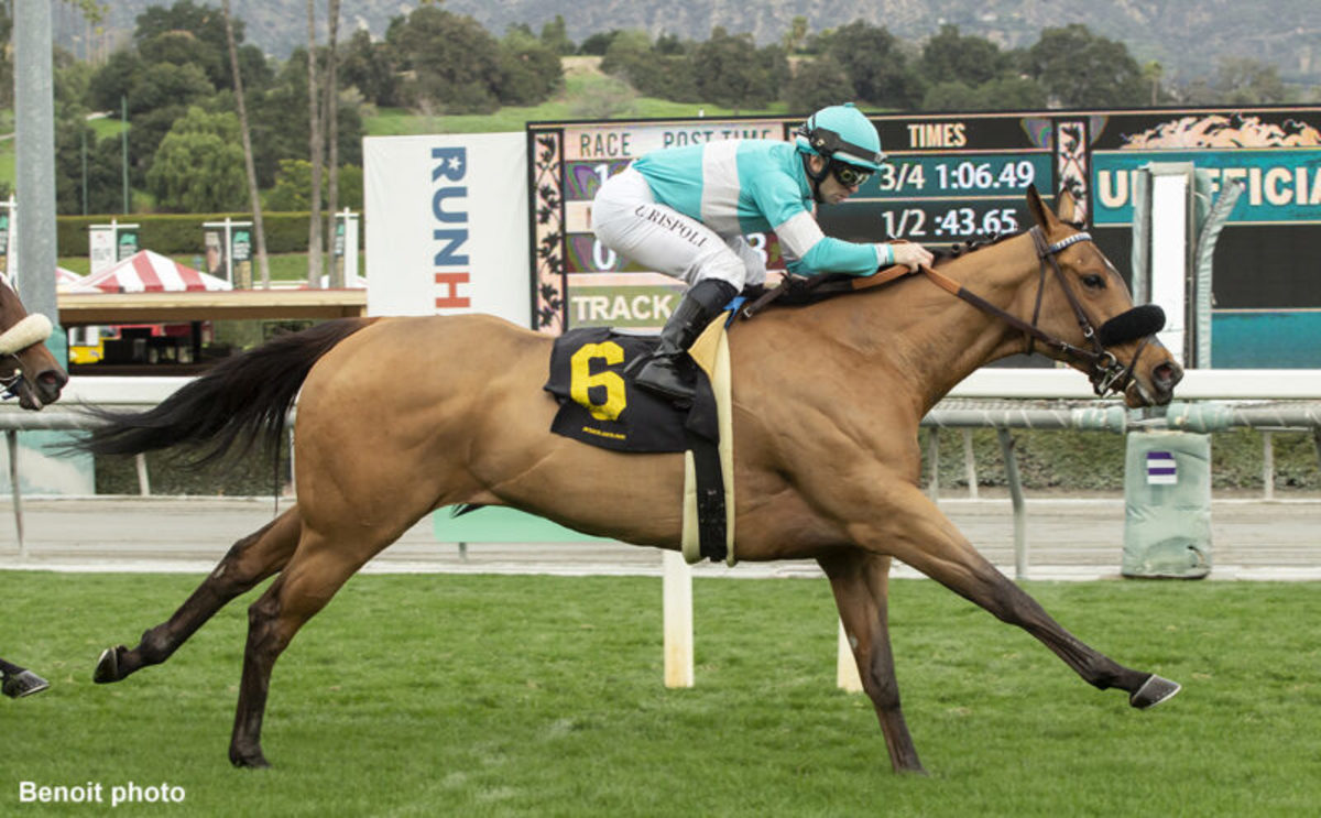 Hillside Turf Course Specialist Amy C Returns In Saturday's Monrovia ...
