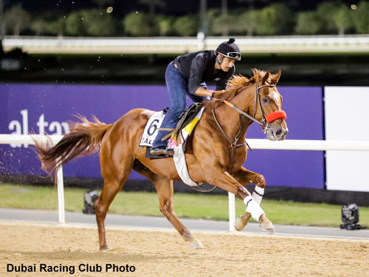 Road To The Kentucky Derby: Three U.S.-Trained Colts Take On Full Field ...