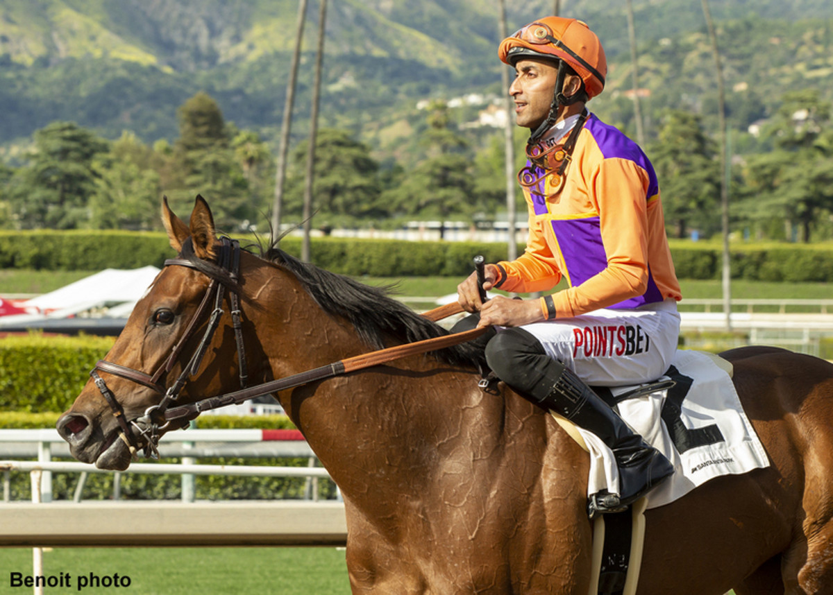 Mandella: Beholder's Daughter Teena Ella Could Try Longer Distances ...