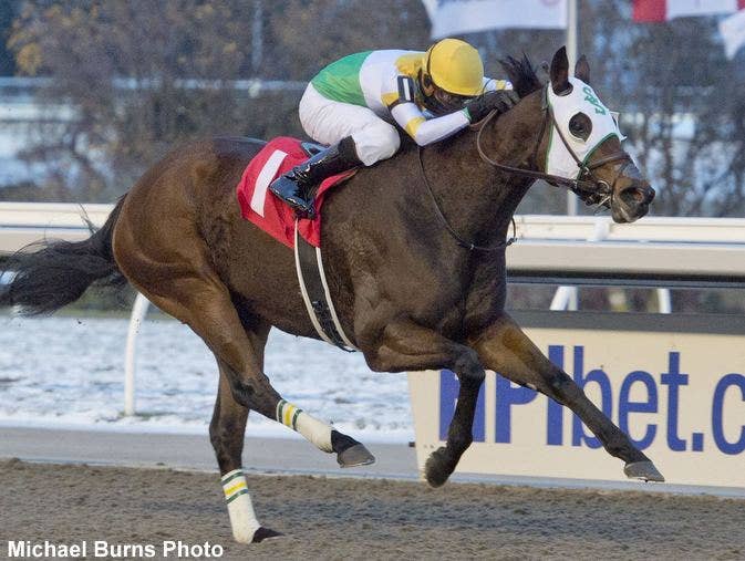 'You Wish They Were All Like Her': Hard Edge Seeks Winning Edge In ...