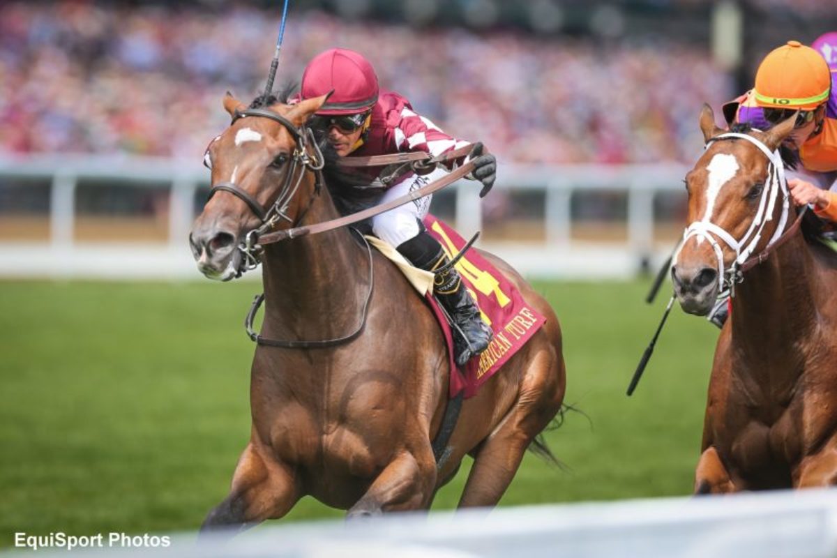 Millionaire Webslinger Brings Consistent Resume To Saturday's Jockey Club Derby Invitational ...