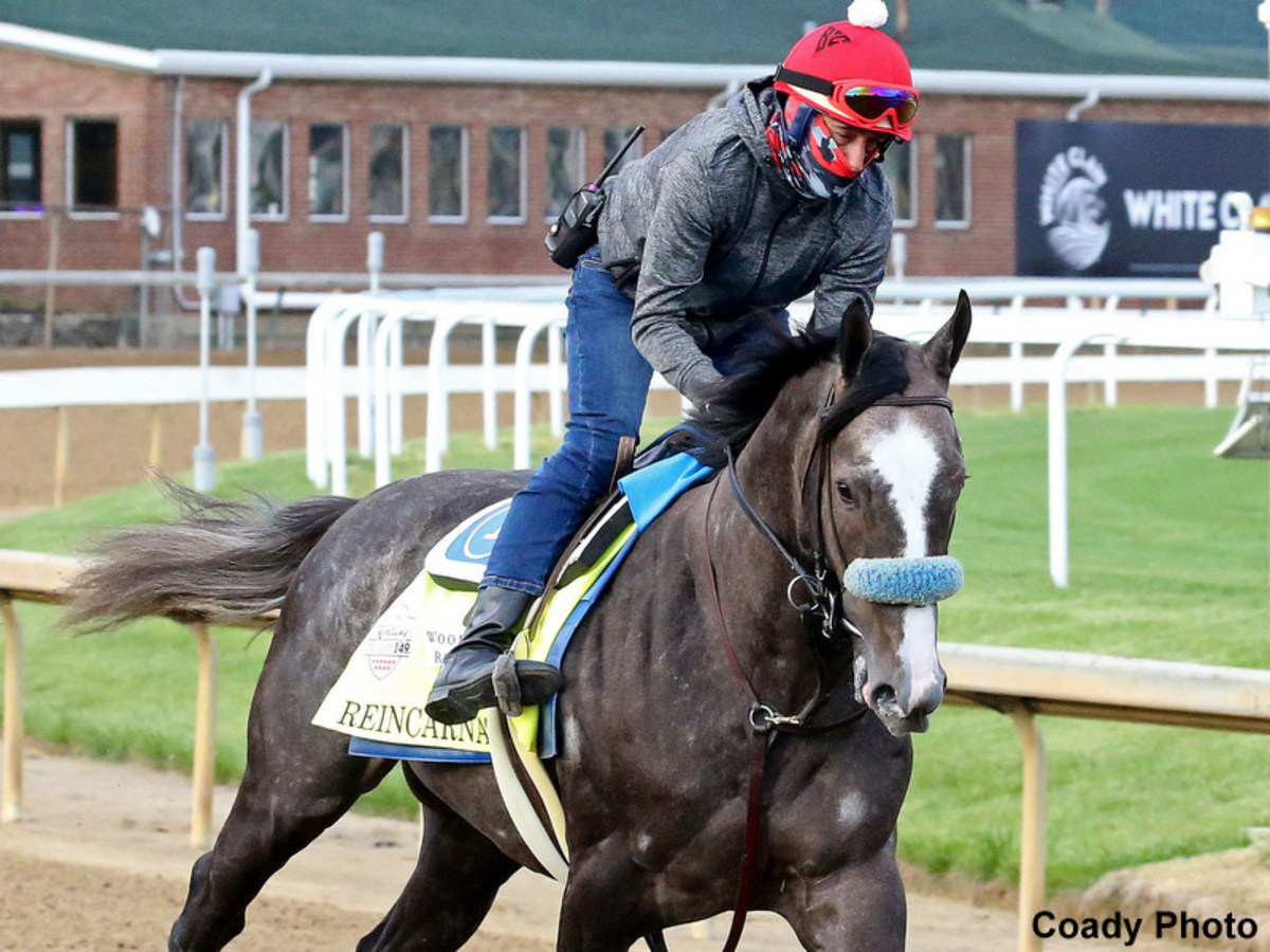 Kentucky Derby Runner Reincarnate To Skip Belmont Stakes, Target ...