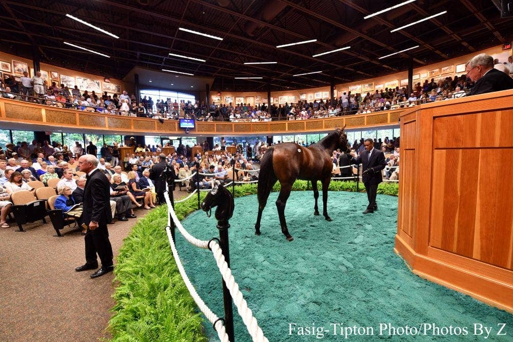 First-Crop Sire Watch: 2023 Fasig-Tipton New York-Bred Yearling Sale ...