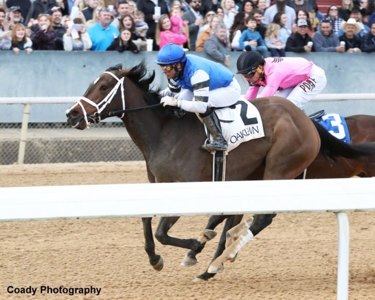 'The Sky's The Limit With This Filly': Hot and Sultry Prevails In Late ...